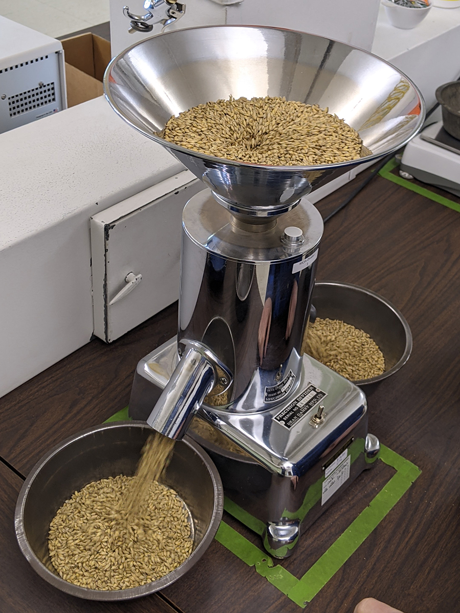 Why We Mix and Divide - MCIA