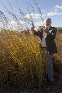 Celebrating the Life of Professor Don Wyse - MCIA